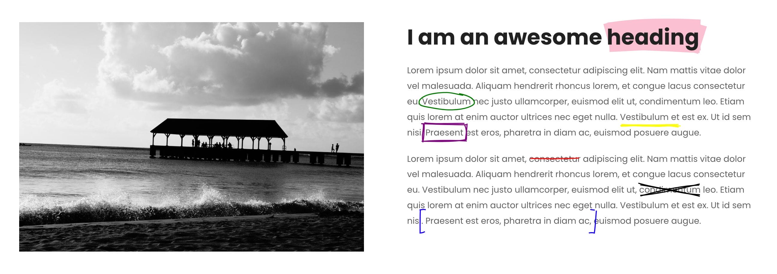 How to animate notations on scroll using RoughNotation.js in Bricks - BricksLabs