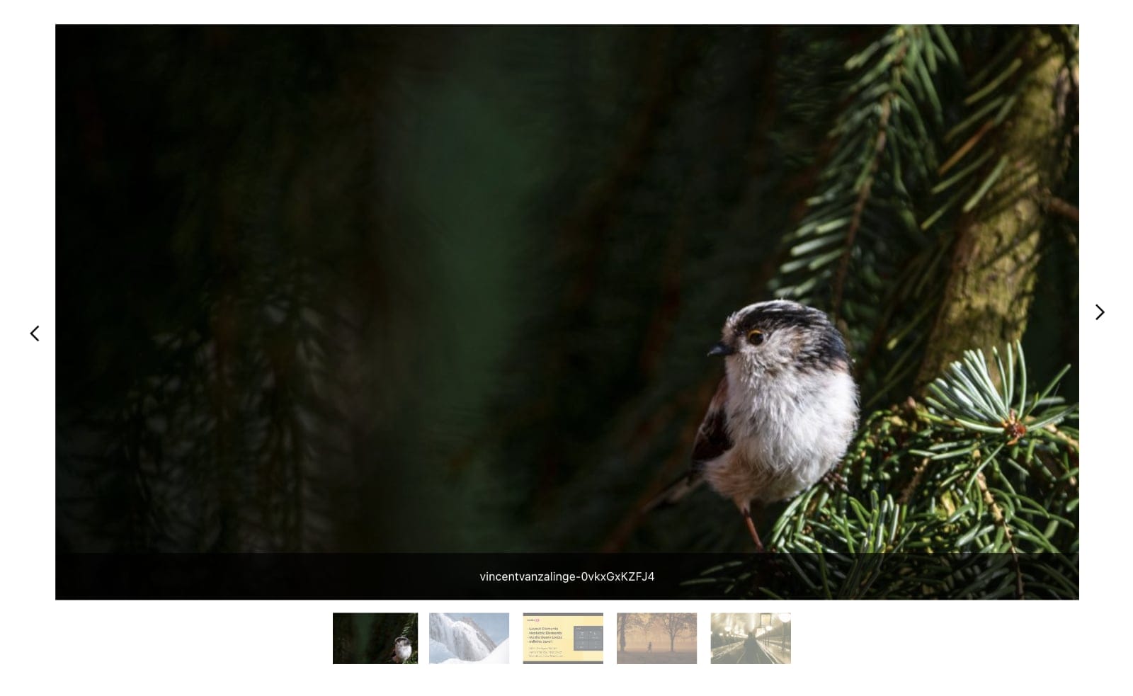 Custom Meta Box Thumbnail Slider In Wordpress Brickslabs