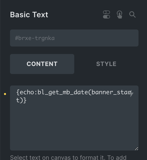 Meta Box Date Field Value Custom Format in Bricks - BricksLabs
