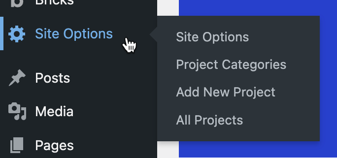 CPT Submenu Items in ACF Pro Options Admin Menu - BricksLabs CPT Submenu Items in ACF Pro Options Admin Menu - BricksLabs
