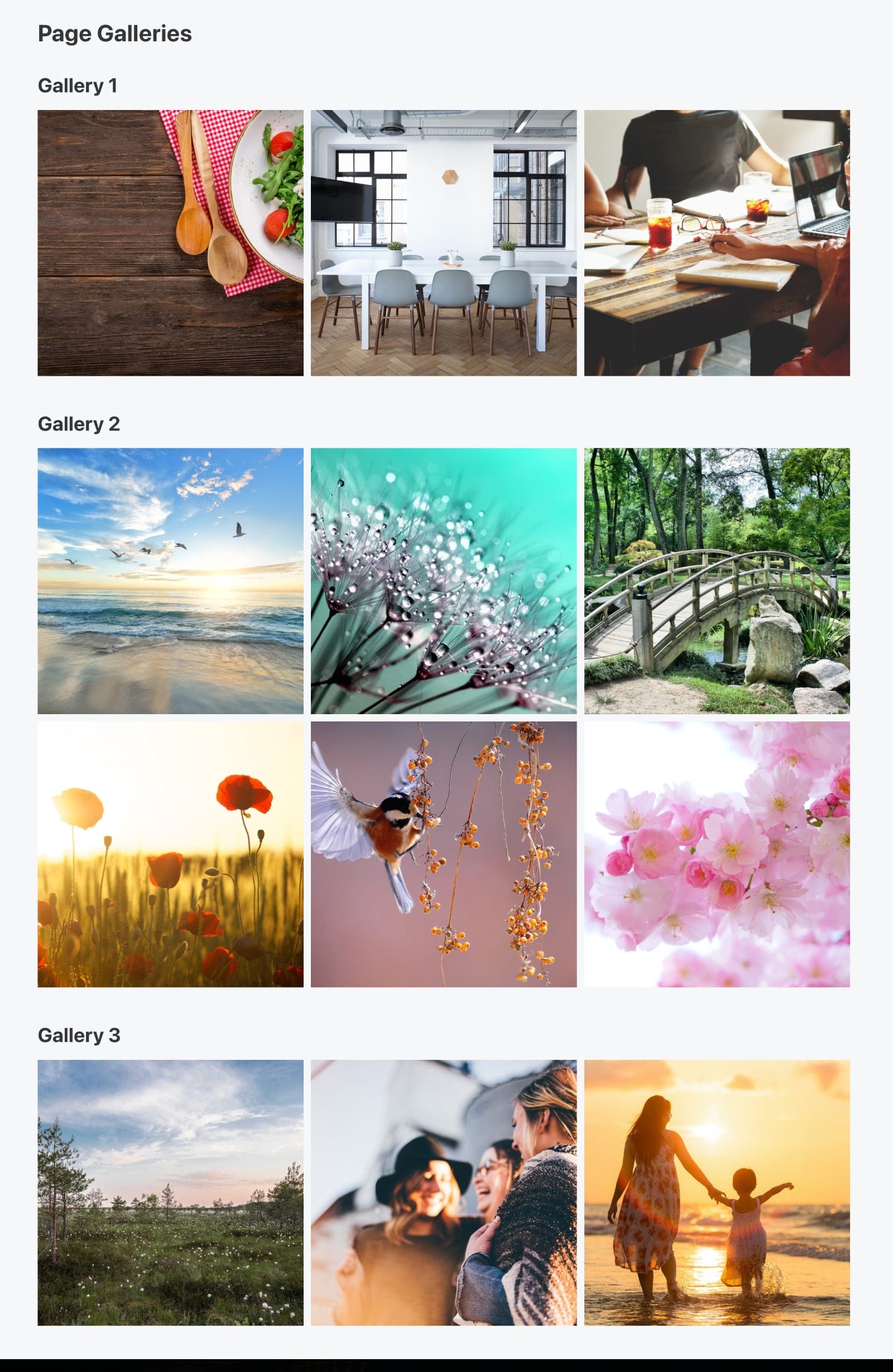 Dynamic Multiple Galleries in Bricks Using Meta Box - BricksLabs