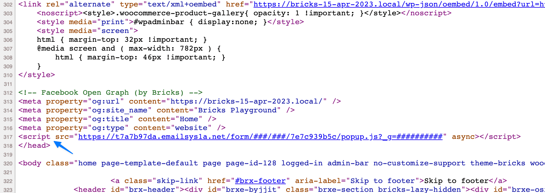 Adding code before closing head tag in WordPress - BricksLabs