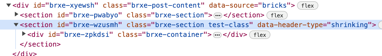 Class Based Data Attributes In Bricks Brickslabs