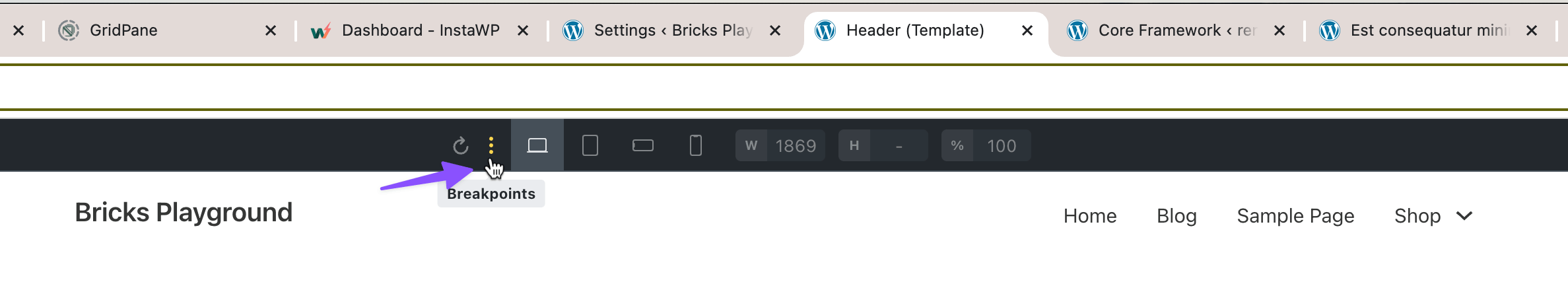 Core Framework in Bricks - BricksLabs